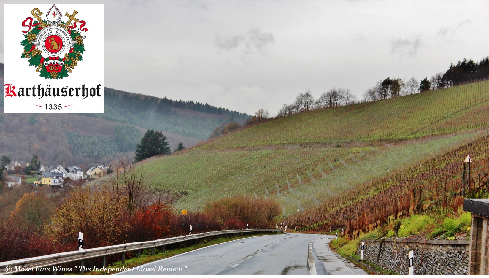 Large Solely-Owned Ruwer Vineyard Changes Hands